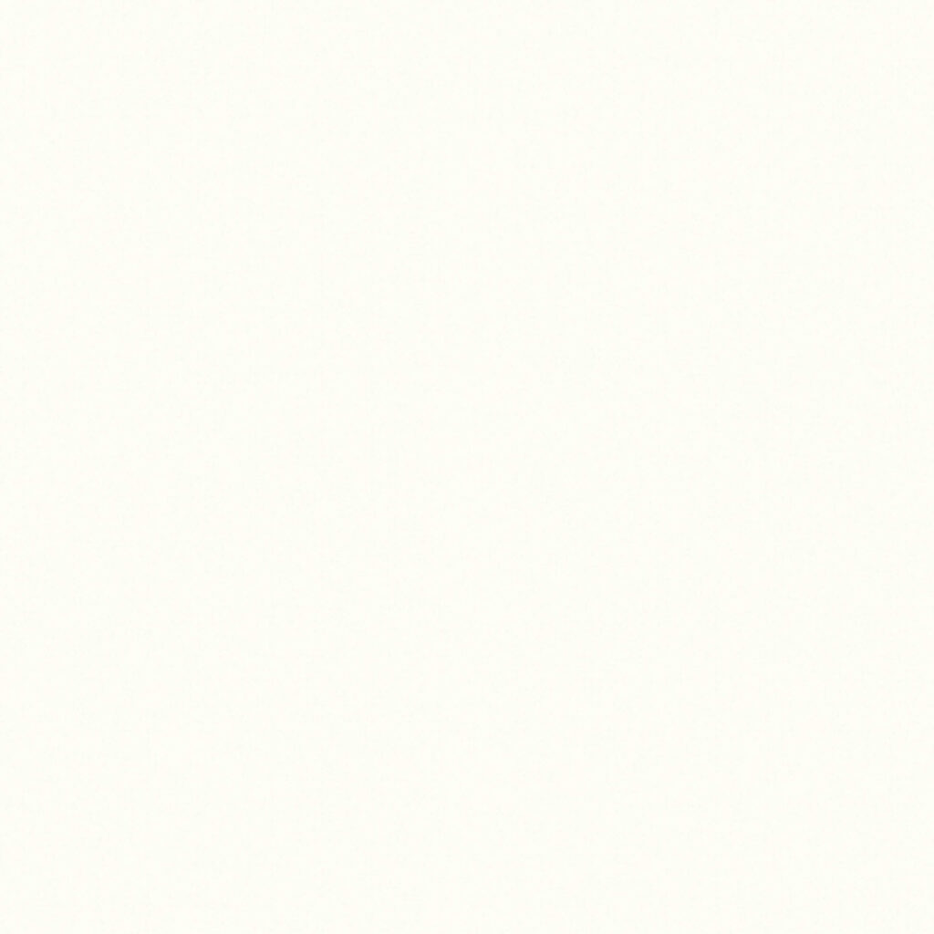 Plank op maat gezaagd met 1 mm kantenband | 80+ decors