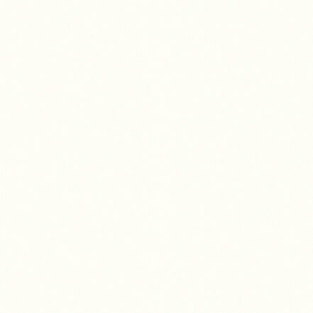 Plank op maat gezaagd met 1 mm kantenband | 80+ decors