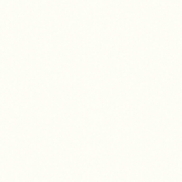 Plank op maat gezaagd met 1 mm kantenband | 80+ decors