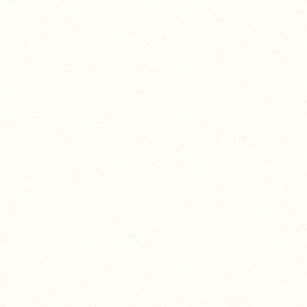 10 mm dunne plank op maat Wit (W1000ST9)